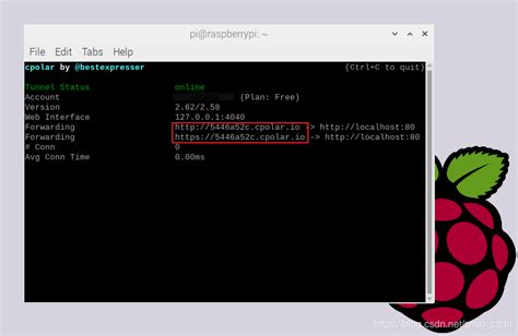 利用cpolar实现树莓派静态网页的外网访问 cpolar websocket csdn博客