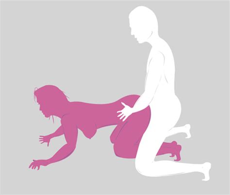 Basset Hound Sex Position Sex Positions