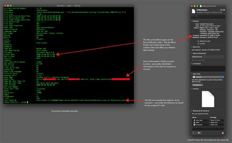 Metadata Your File S Hidden DNA And You