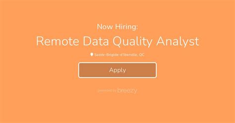 Remote Data Quality Analyst At Focusgrouppanel