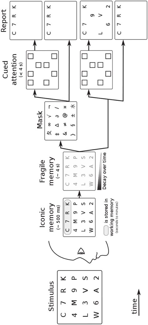 The Structure Of Visual Short Term Memory A Rich Representation Of A Download Scientific