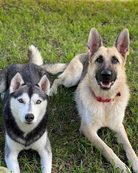 Get To Know Genesis Mia Lopez Influencer And Fitness Model S All Details Glamour Path