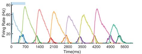 Figures And Data In Learning Precise Spatiotemporal Sequences Via Biophysically Realistic