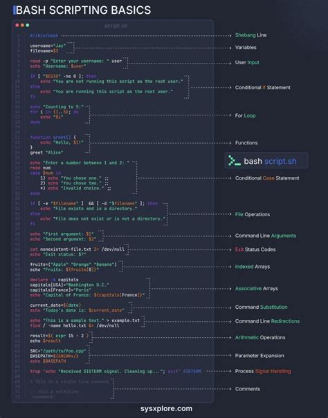 Bash Scripting Basics Explained In 15 Steps Abdurahman Abukar Posted On The Topic Linkedin