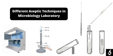 Different Aseptic Techniques In Microbiology Laboratory Biology Notes Online