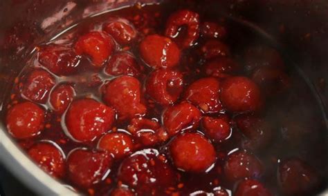 Raspberry Syrup Storefront En