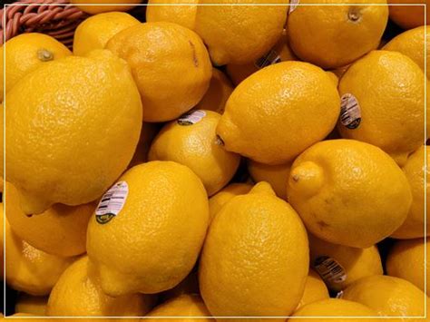 레몬 효능 및 부작용 하루 섭취량 및 레몬 수 만드는 방법 레몬 효능 및 부작용 하루 섭취량 및 레몬 수 만드는 방법