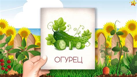 Овощи Карточки Домана Развивающие мультики для детей Youtube