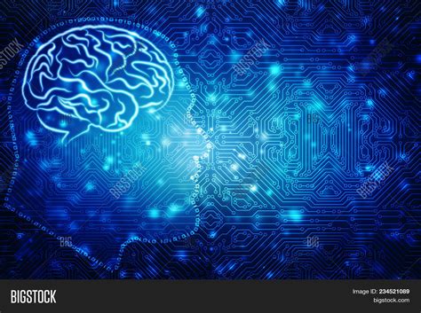 Human Brain 2d Image And Photo Free Trial Bigstock
