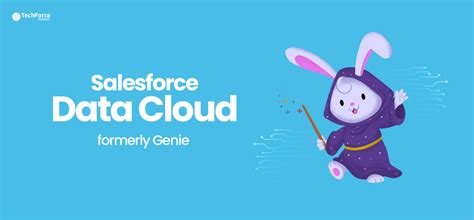 Empower Your Business With Salesforce Data Cloud