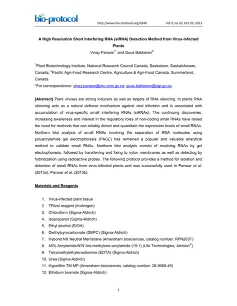 Pdf A High Resolution Short Interfering Rna Sirna Detection Method