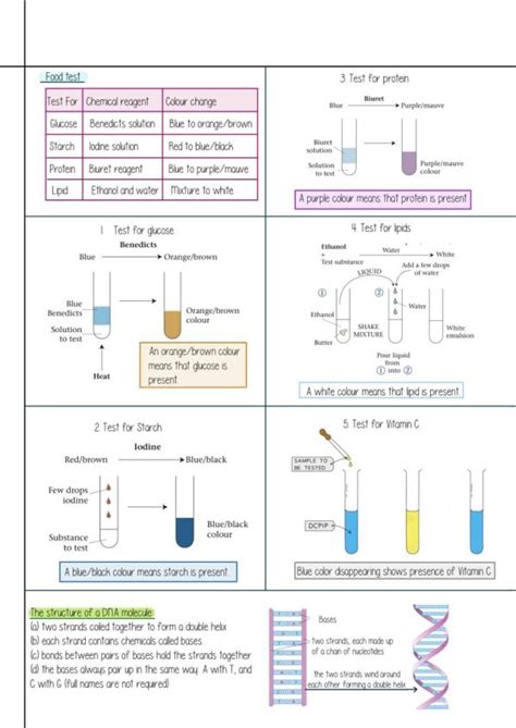 Comprehensive Revision Guide Cambridge Igcse Biology 0970 And 0610