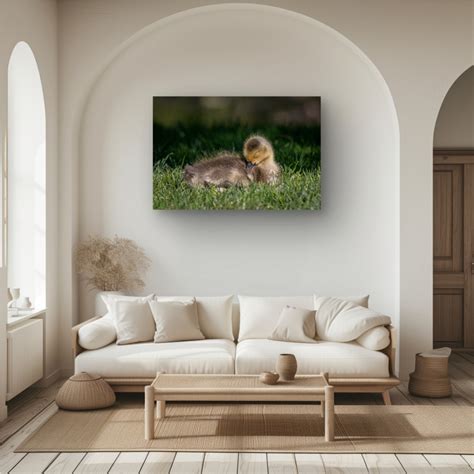 Susan Helmuth Photographer