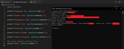 Modüller sys platform CyberWorm