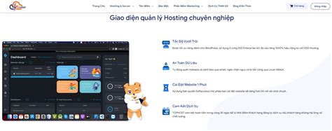 Top Host Tophostvnn Twitter