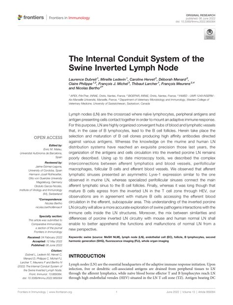 Pdf The Internal Conduit System Of The Swine Inverted Lymph Node