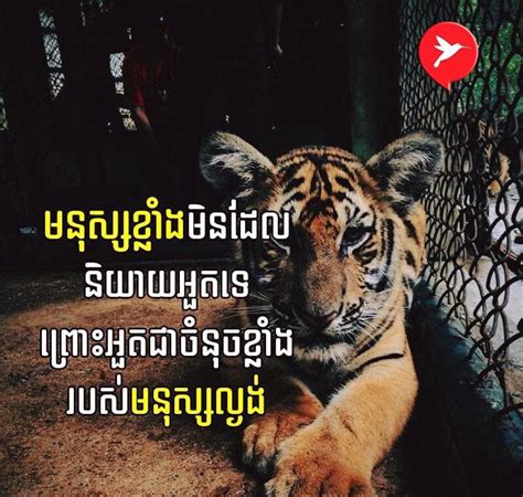 អំនួតនាំឱ្យបរាជ័យ ក្រុមហ៊ុន ប្ល៊ែក ថាយហ្គើរ រៀលអុីស្ទេត ឯ ក