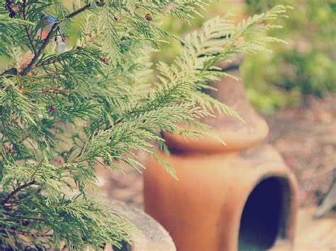 How I Learned Red Green Refactor From Airbnb