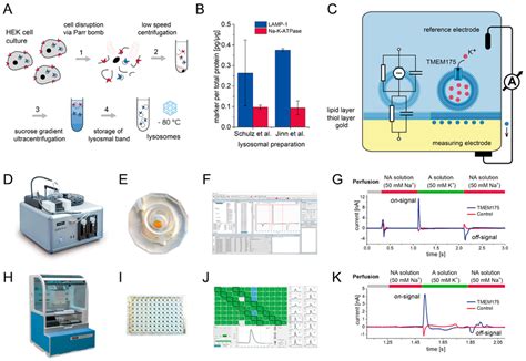 Principles Of Ssm Based Electrophysiology Recordings On Tmem175