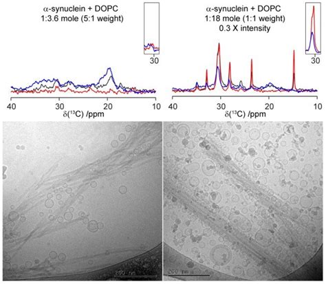 Inserted Boxed Peaks Are Inept And Cp Signals For The Unresolved Peaks
