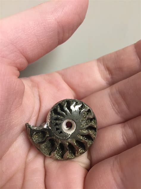 716 Best Pyrite Images On Pholder Mineral Porn Interestingasfuck And Crystals