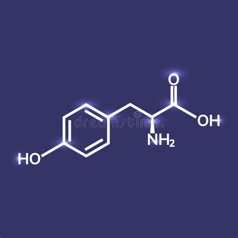 Tyrosine Tyr Amino Acid Stock Vector Illustration Of Molecular 156578508