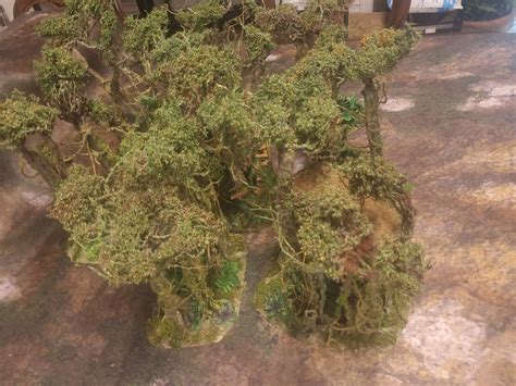 Rainforest Trees Terrain For Wargaming Dnd Warhammer And Tabletop Gaming Etsy