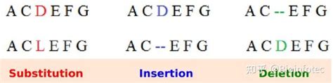 序列比对简介2 知乎