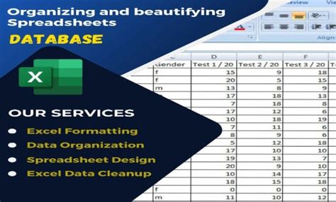 Perfectly Organizing And Beautifying Spreadsheets By Tayyabrajpoot27 Fiverr