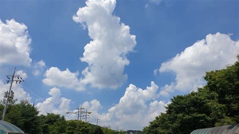 자폐 증상이 있는 아동을 위한 놀이 Tip 자폐자폐스펙트럼장애자폐증영유아자폐아동자폐자폐치료아동상담아동심리asd