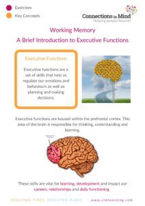 Working Memory Handout 1 CiM Online Learning