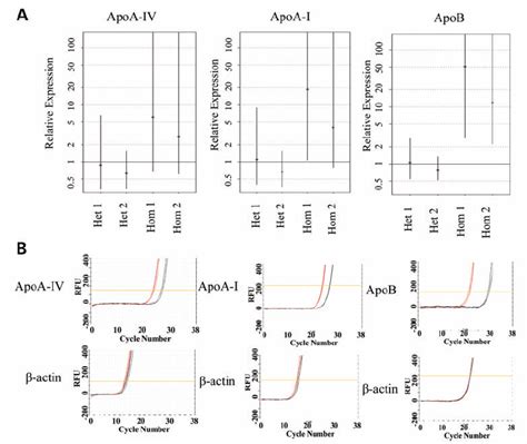 ApoA I ApoA IV And ApoB Are Upregulated In The Kidneys Of Pkd1 Cond Download Scientific