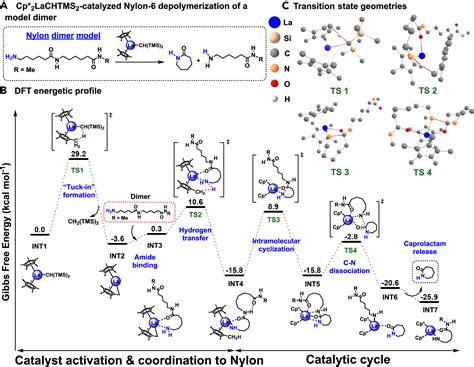 Catalyst Metal Ligand Design For Rapid Selective And Solventless
