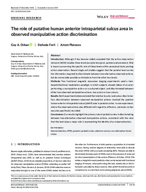 Pdf The Role Of Putative Human Anterior Intraparietal Sulcus Area In