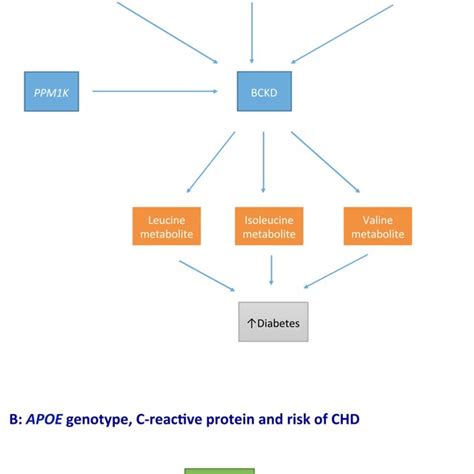 Mendelian Randomization Using A Genetic Variant That Associates With
