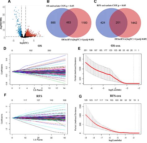 A Volcano Plot Of Differentially Expressed Lncrnas In Tcga Blca