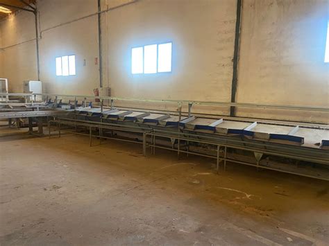 Unitec One Line Peach Kiwi Sorting Line Fruit Graders