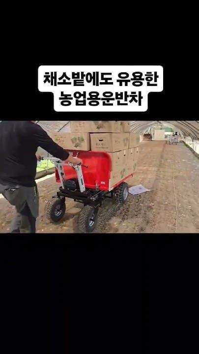 채소밭에서 유용한 운반차농기계전문채널엔테크농업용운반차농기계리뷰농기계추천농기계비교농기계shorts농사용운반차다목적운반차구르마리어카덤프차 Youtube
