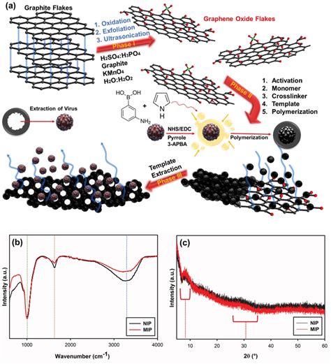 a production procedure of mip platform b ftir spectrums of nip and