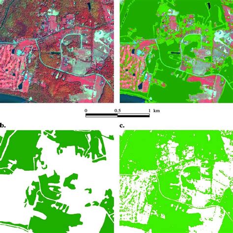 Ikonos Image Detail With Classification Results A Ikonos Imagery Download Scientific