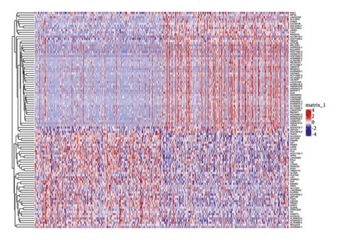 A Heatmap Of Differential Expression Genes Between High And