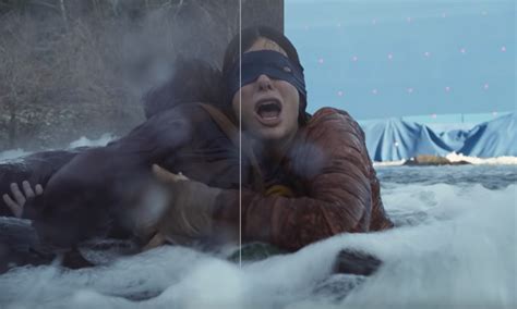 Bird Box Behind The Scene