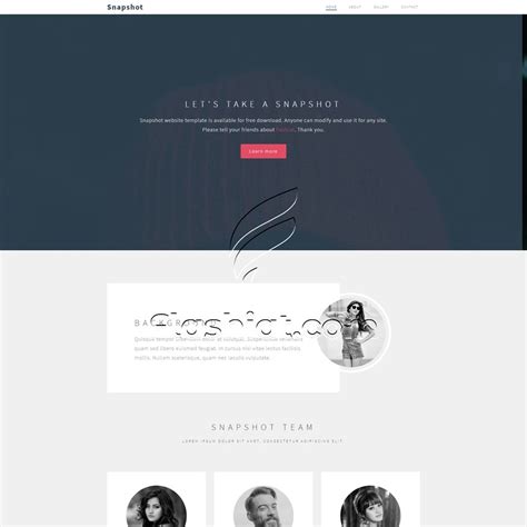 snapshot free html5 and css template flashiat
