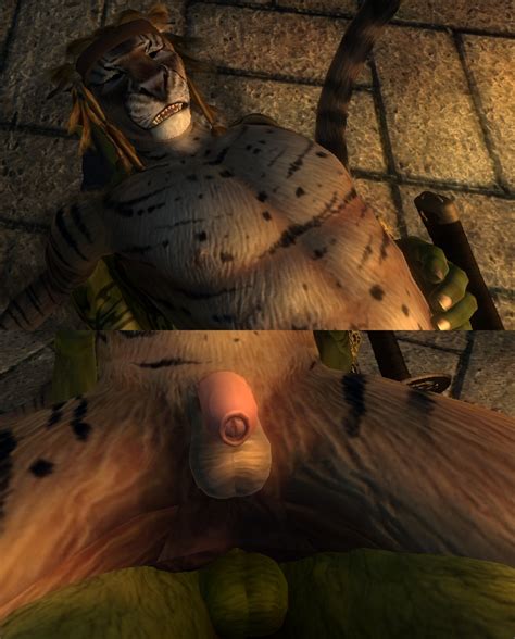 rule 34 flaccid foreskin gay khajiit khajiit male male male male