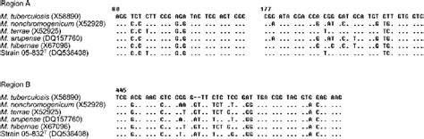 Alignment Of Hypervariable Regions A And B Of The 16s Rrna Gene From Download Scientific