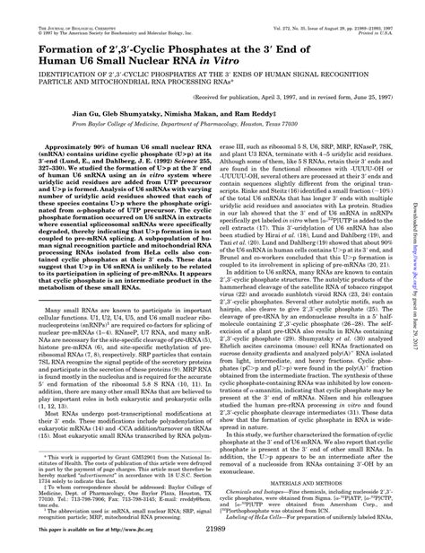 Pdf Formation Of 2 3 Cyclic Phosphates At The 3 End Of Human U6 Small Nuclear Rna In Vitro