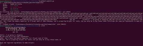 Pwntools A Ctf Framework And Exploit Development Library