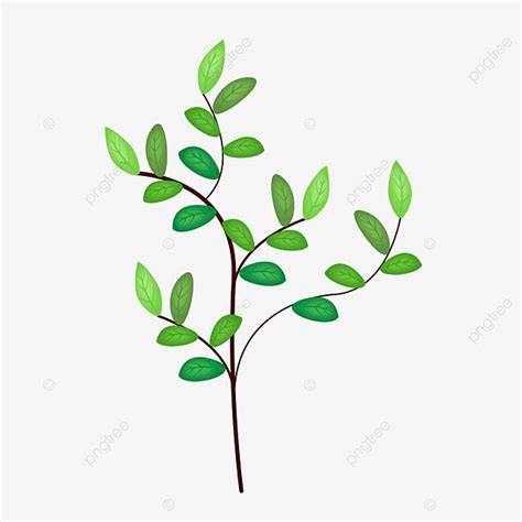 벡터 스냅 백 캐릭터 일러스트 가지 초대장 이파리 아름다운 Png 일러스트 및 Psd 이미지 무료 다운로드 Pngtree