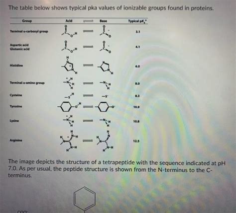 Solved The table below shows typical pka values of ionizable | Chegg.com