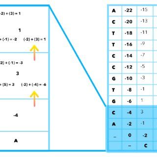 Global Sequence Alignment Backtracing And Sequence Alignment Download Scientific Diagram